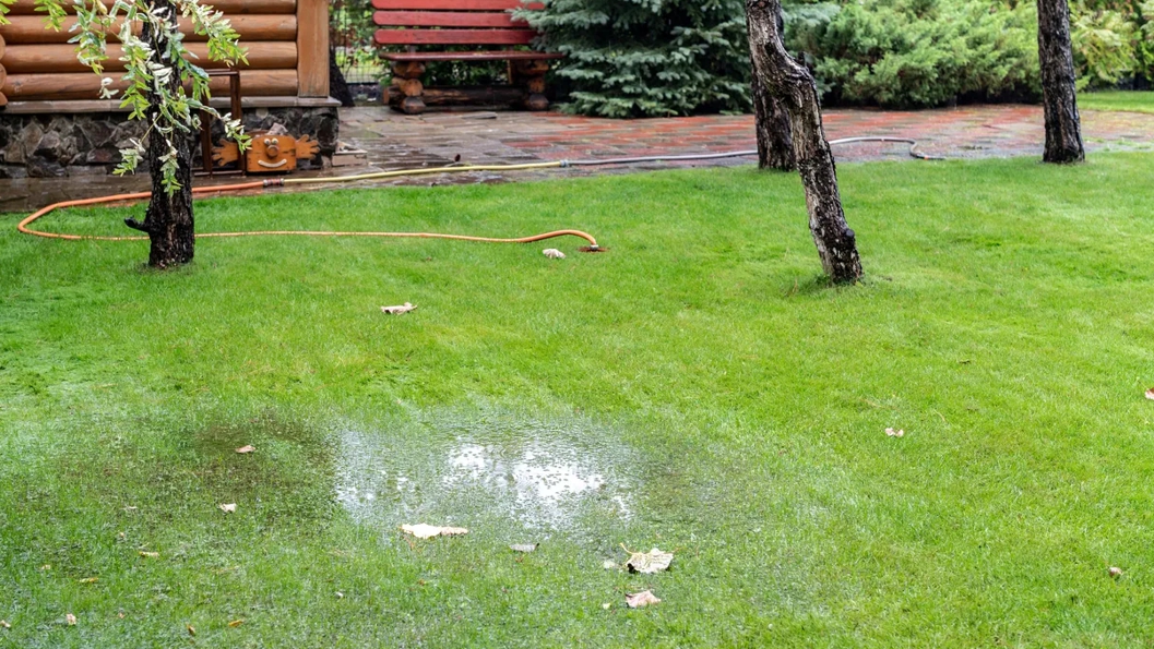 Wet patch in your garden? You might have an underground leak